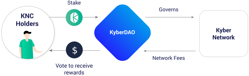 Understanding Kyber Network: a review